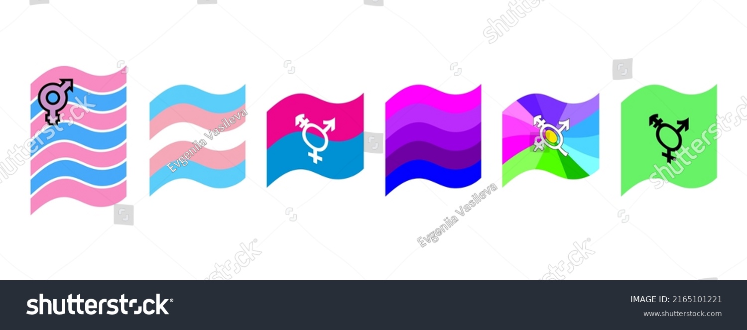 Transgender Flags Vector Set Illustration Stock Vector (Royalty Free ...