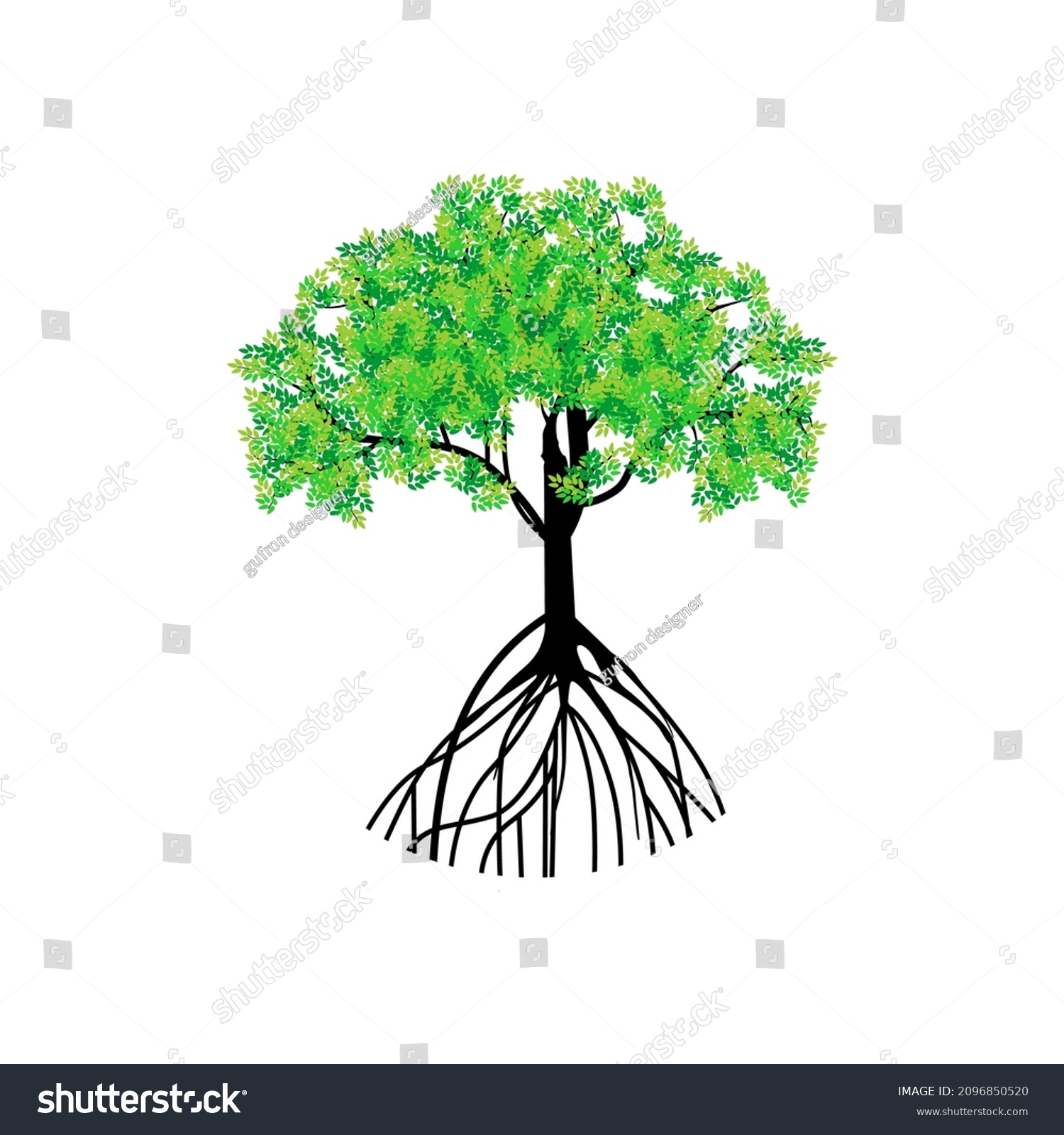 Vektor Stok Tree Roots Vector Illustrations Mangrove Tree (Tanpa ...