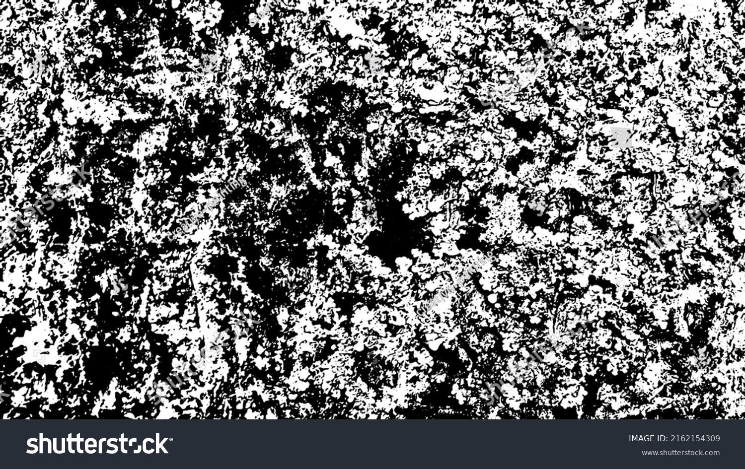 Tree Bark Beautiful Patterns Graphic Design Stock Vector (Royalty Free ...