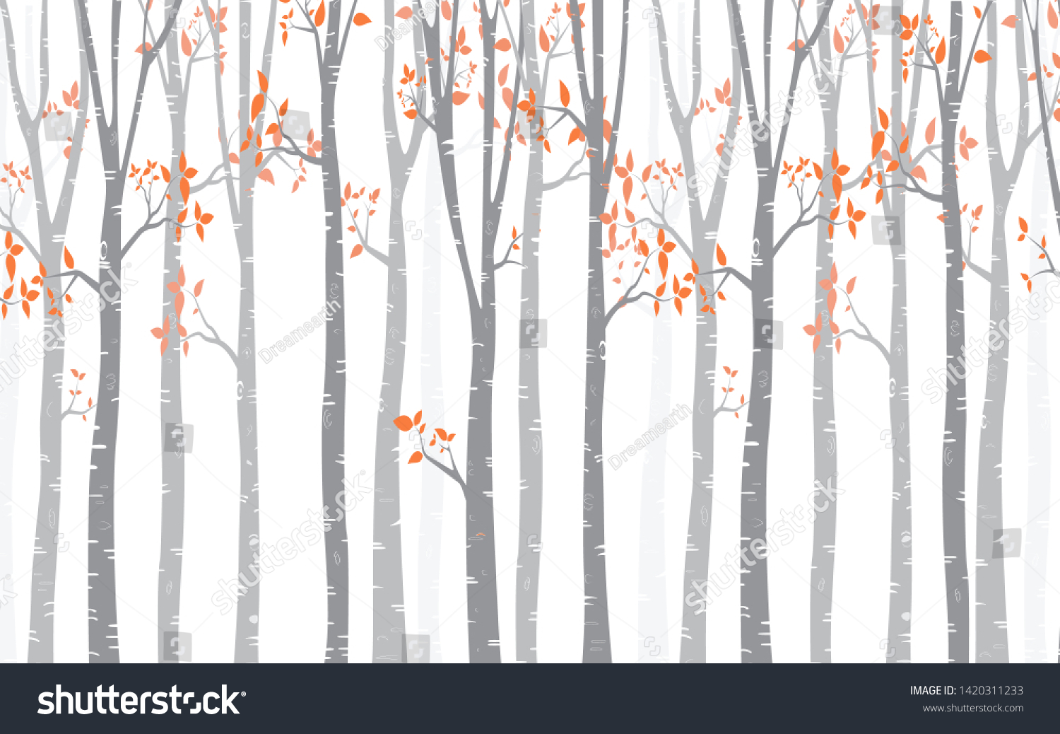 Tree Birch Design Background Birch Forest Stock Vector (Royalty Free ...