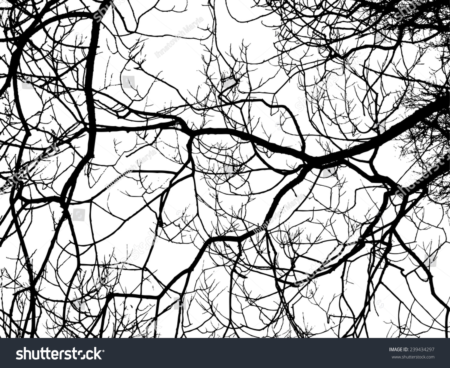 4,742 Creepy tree branches Stock Vectors, Images & Vector Art ...