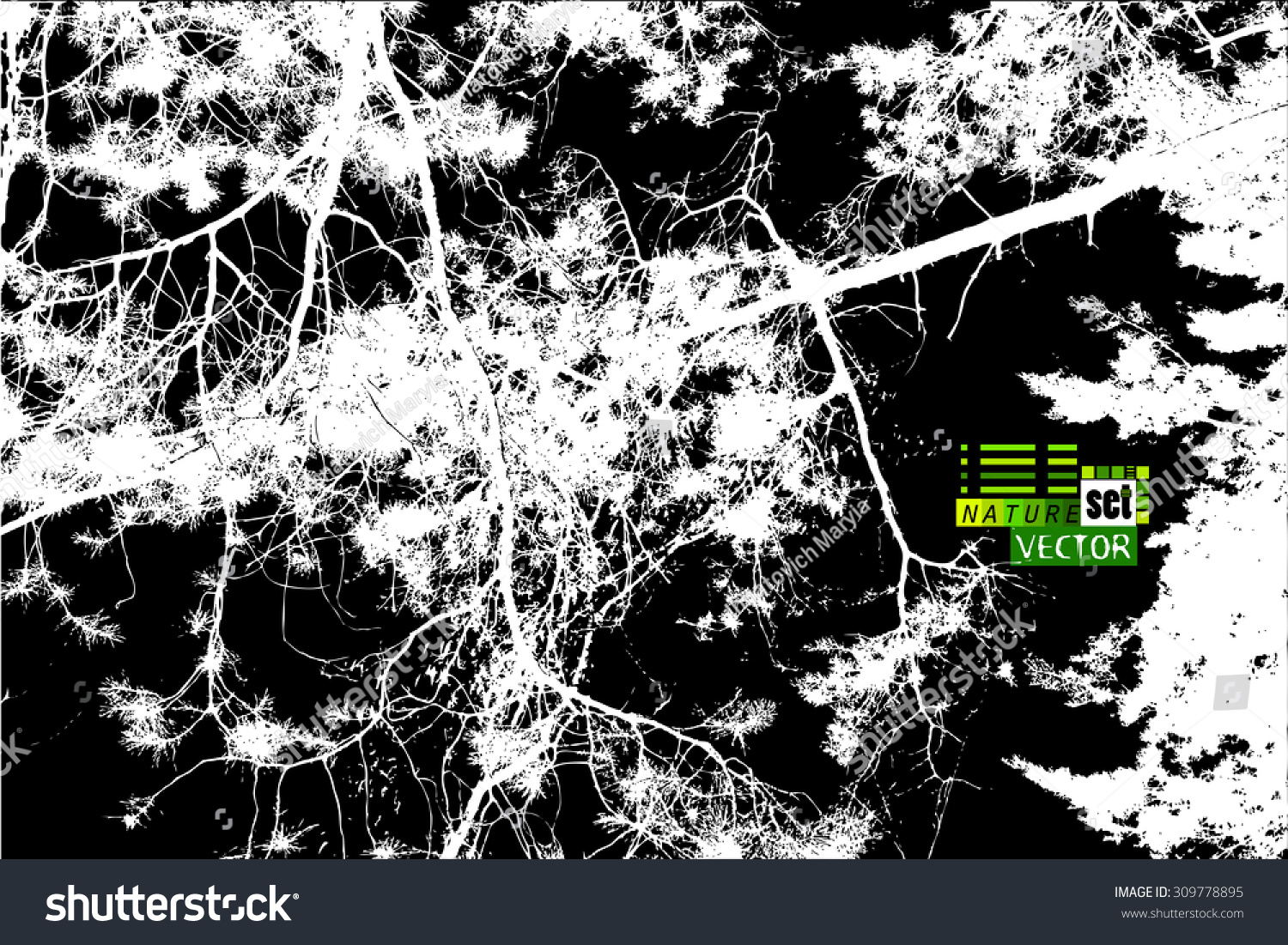Tree Branches Forest Tracing Vector Stock Vector (Royalty Free ...