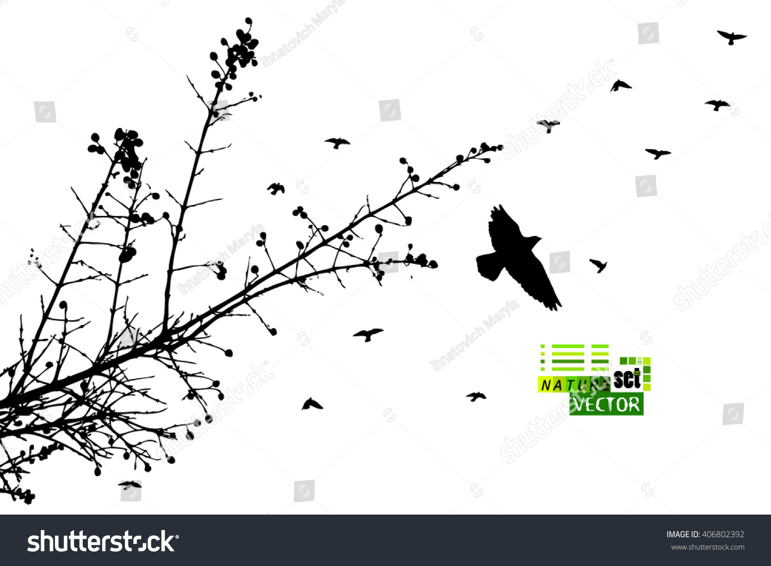 Tree Branches Birds Tracing Vector Stock Vector (Royalty Free) 406802392