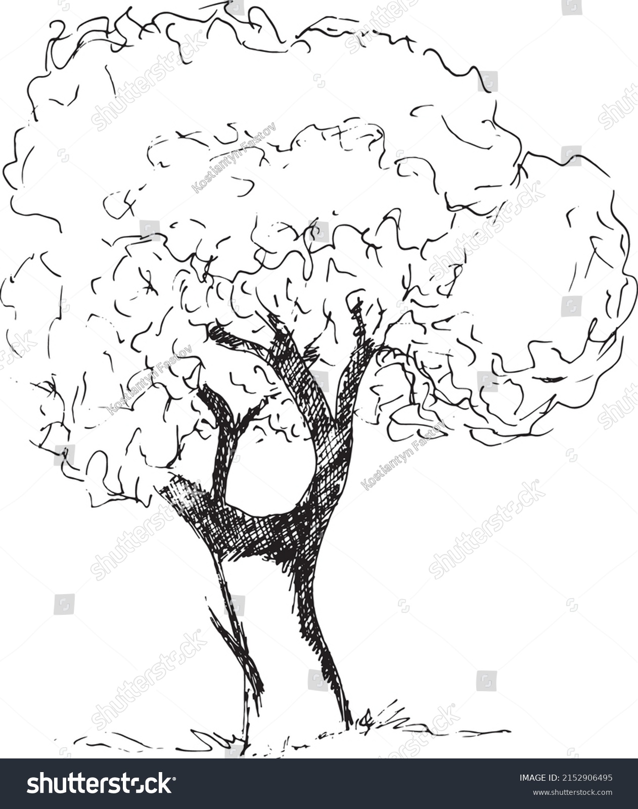 Tree Drawing Vector Retro Style Stock Vector (Royalty Free) 2152906495 ...