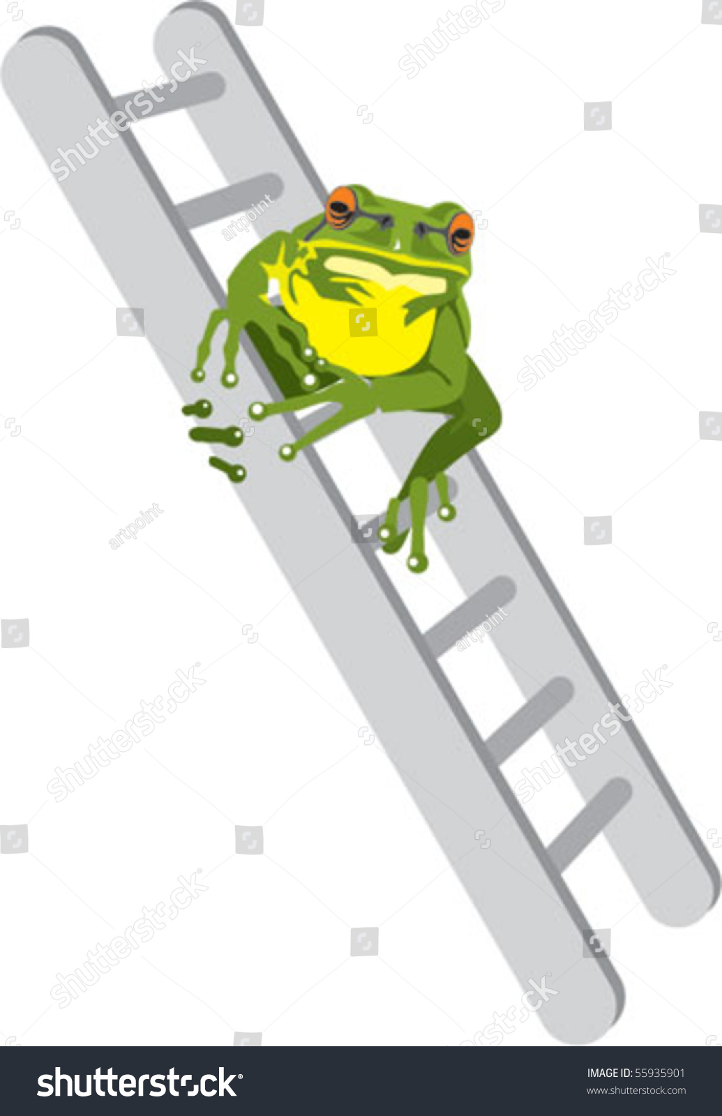 Tree Frog On Ladder Stock Vector (Royalty Free) 55935901