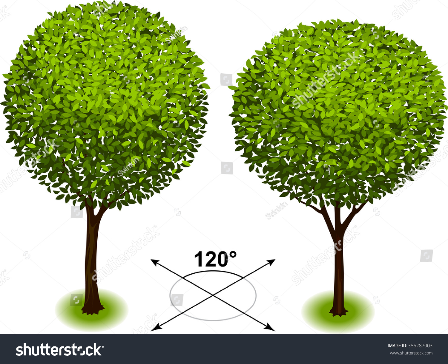Tree Isometric Trees Vector Elements Separate: เวกเตอร์สต็อก (ปลอดค่า ...