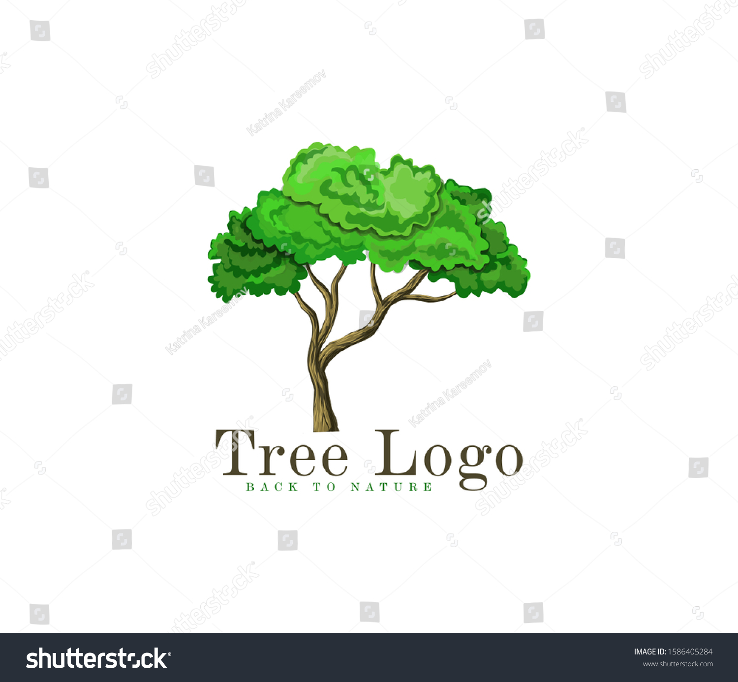 Tree Logo Design Vector Isolated Acacia Stock Vector (Royalty Free ...