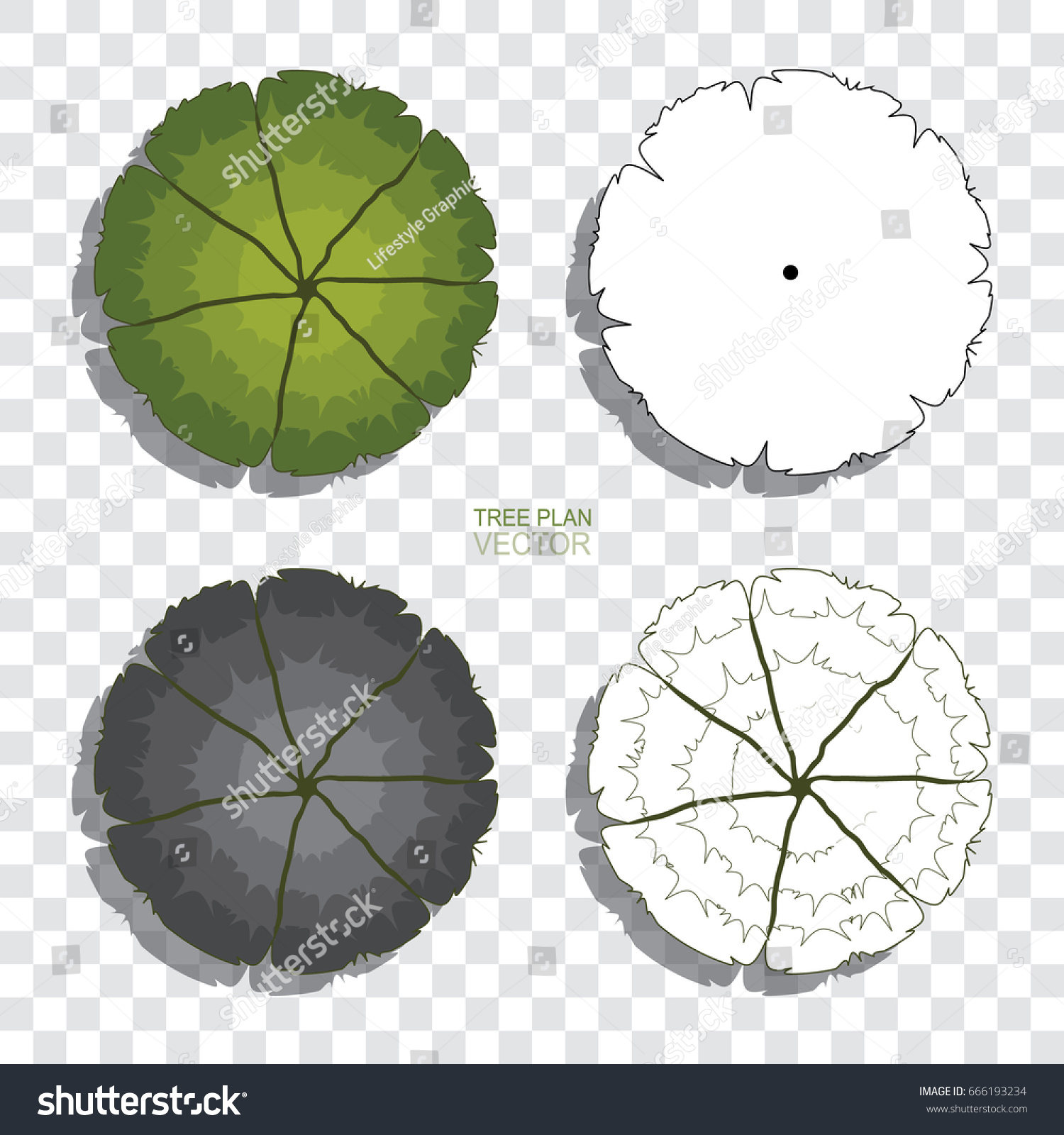 Tree Plan Collection Shadow Transparent Background Stock Vector ...