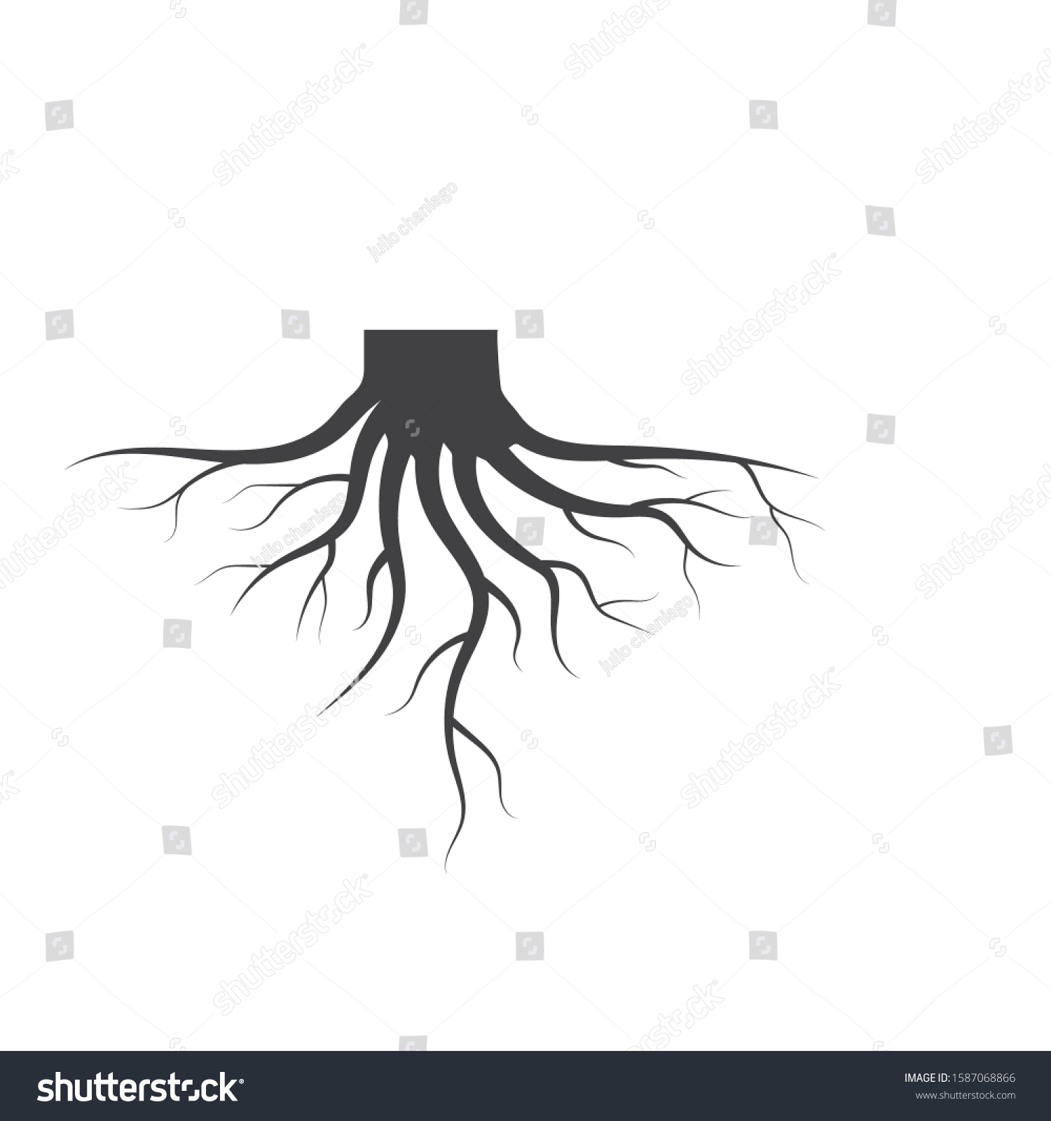 Tree Roots Vector Icon Illustration Design Stock Vector (Royalty Free ...