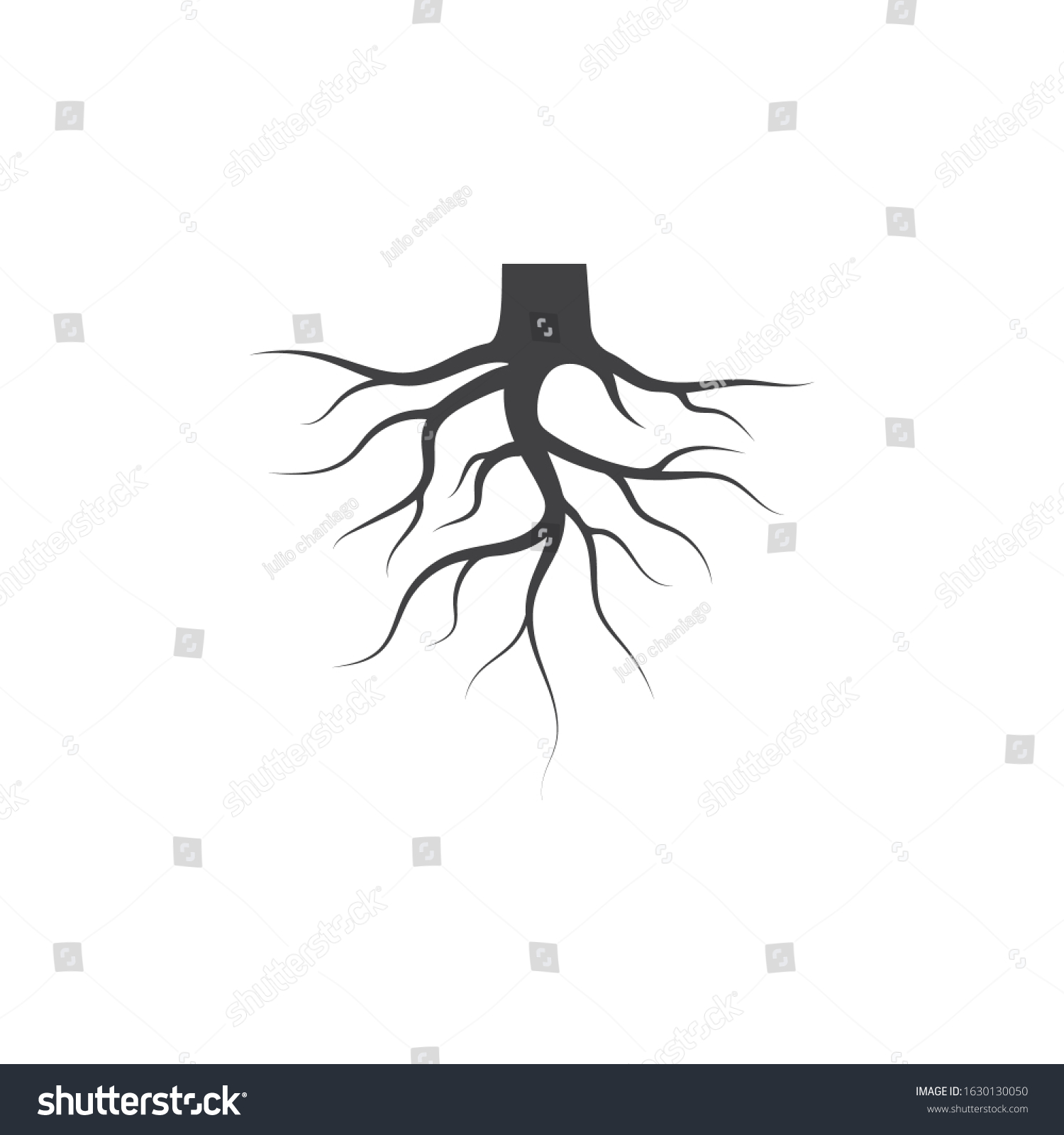 Tree Roots Vector Icon Illustration Design Stock Vector (Royalty Free ...