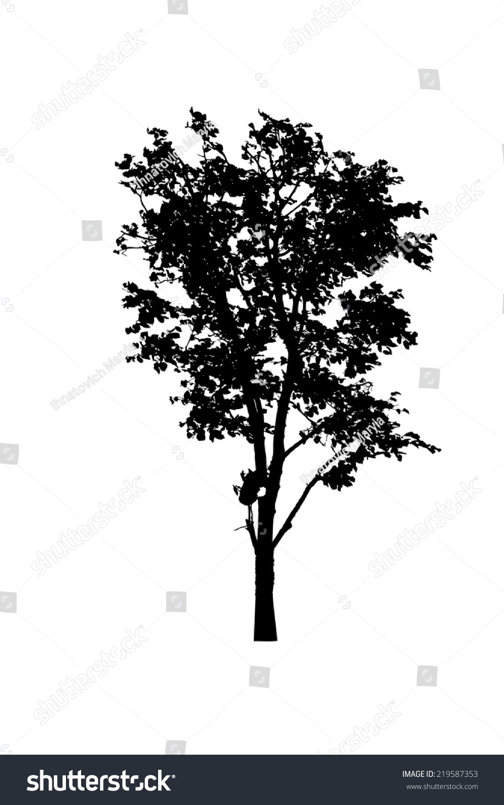 Tree Silhouette On White Background Vector Stock Vector (Royalty Free ...