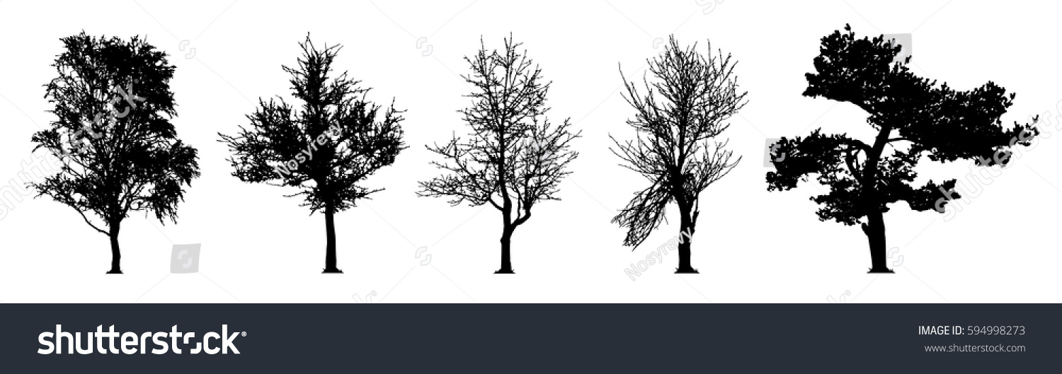 Tree Silhouette Vector Set: เวกเตอร์สต็อก (ปลอดค่าลิขสิทธิ์) 594998273 ...