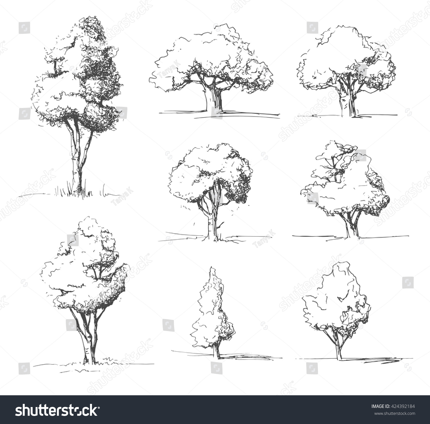 515,030 Tree illustration sketch Images, Stock Photos & Vectors ...