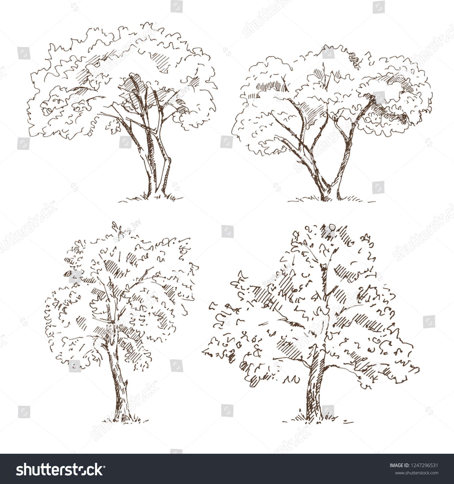 Tree Sketches Set Vector Illustration Stock Vector (Royalty Free ...