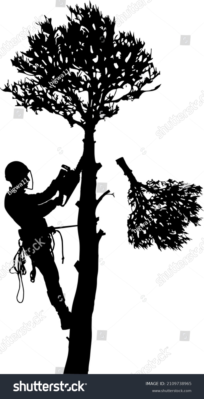 2,586 Tree climber chainsaw Images, Stock Photos & Vectors | Shutterstock