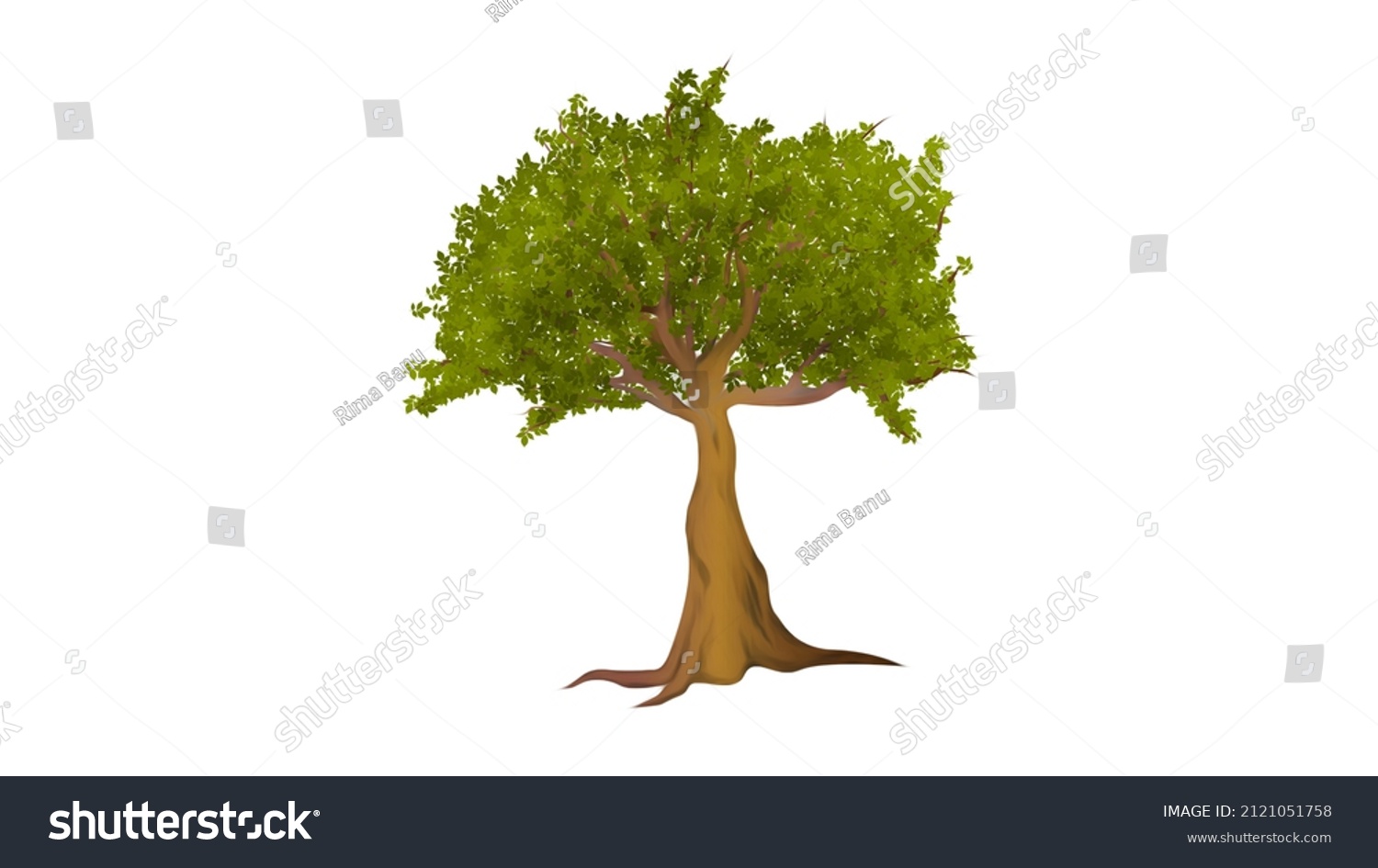 Tree Vector Figure Thick Tall Tree Stock Vector (Royalty Free ...
