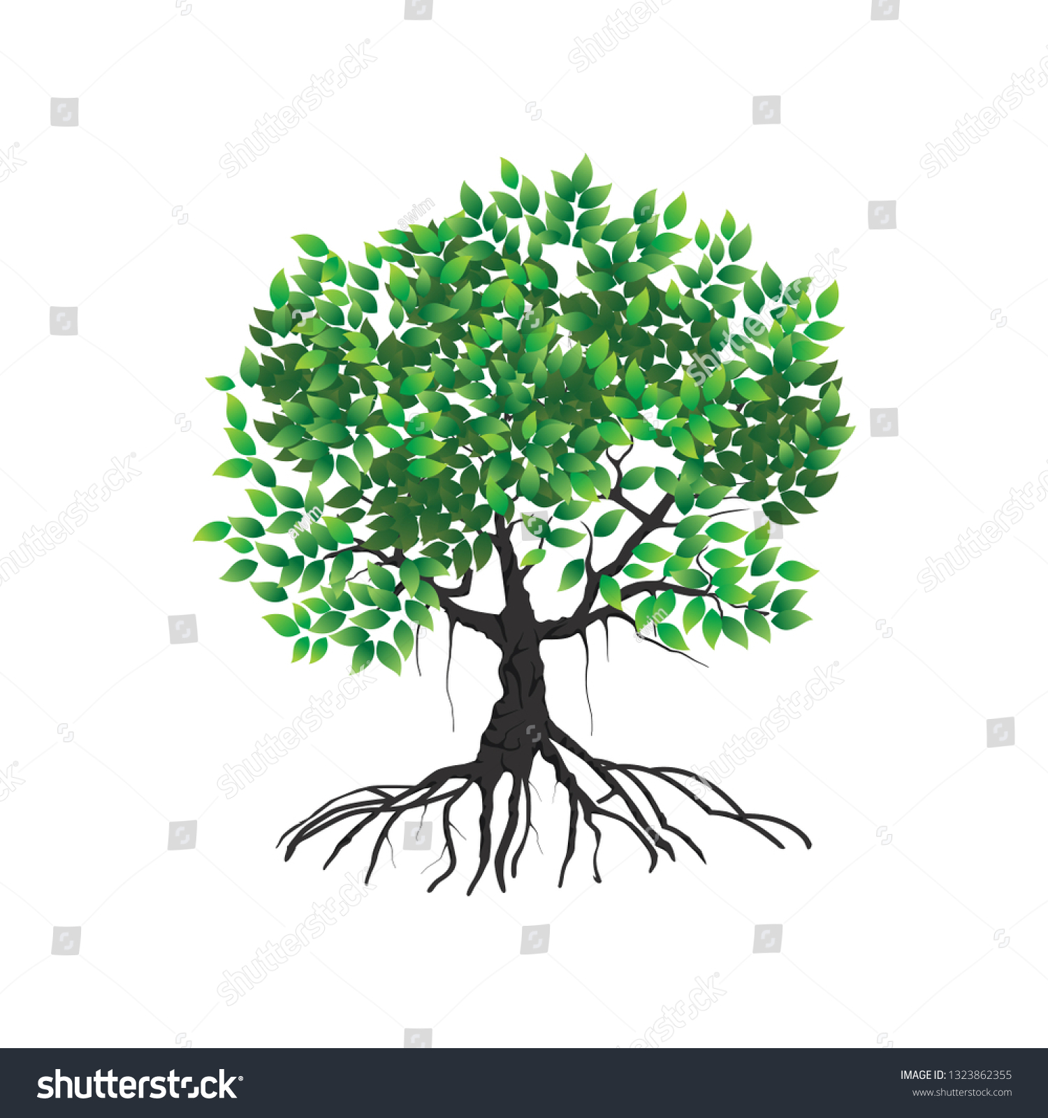 Tree Vector Illustrations Roots Mangrove Tree Stock Vector (Royalty ...