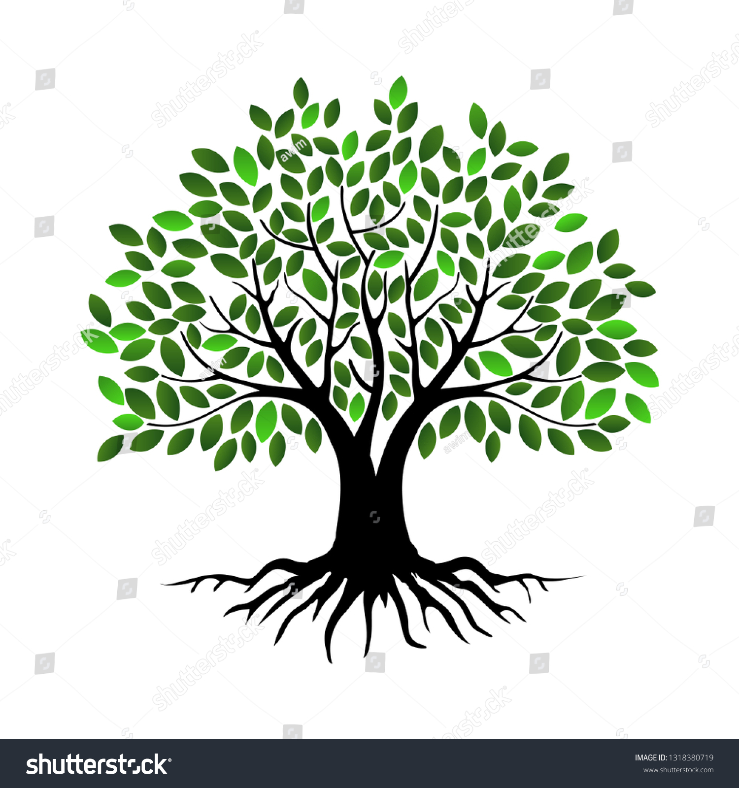Tree Vector Illustrations Roots Mangrove Tree Stock Vector (Royalty ...