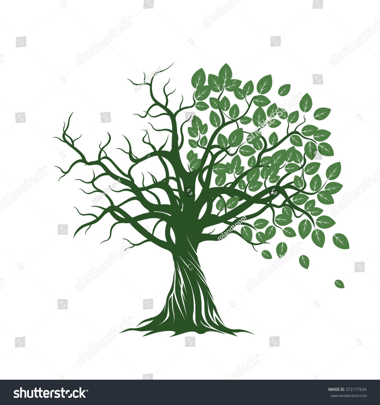 17,491 Half tree Stock Illustrations, Images & Vectors | Shutterstock