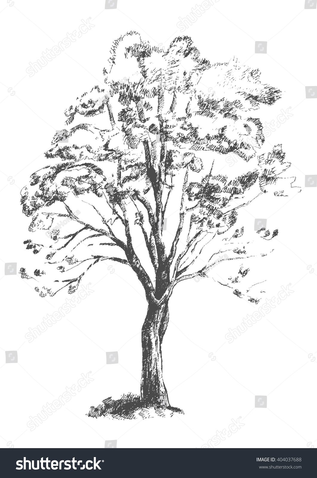 Tree Leaves Graphic Vector Stock Vector (Royalty Free) 404037688 ...