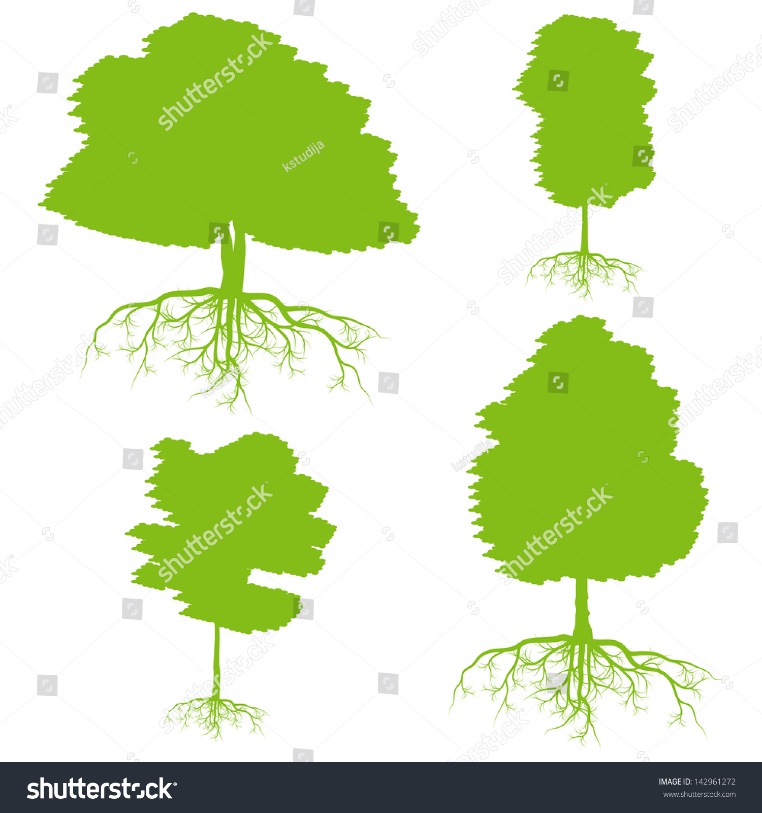 Tree Roots Set Background Ecology Vector Stock Vector (Royalty Free ...