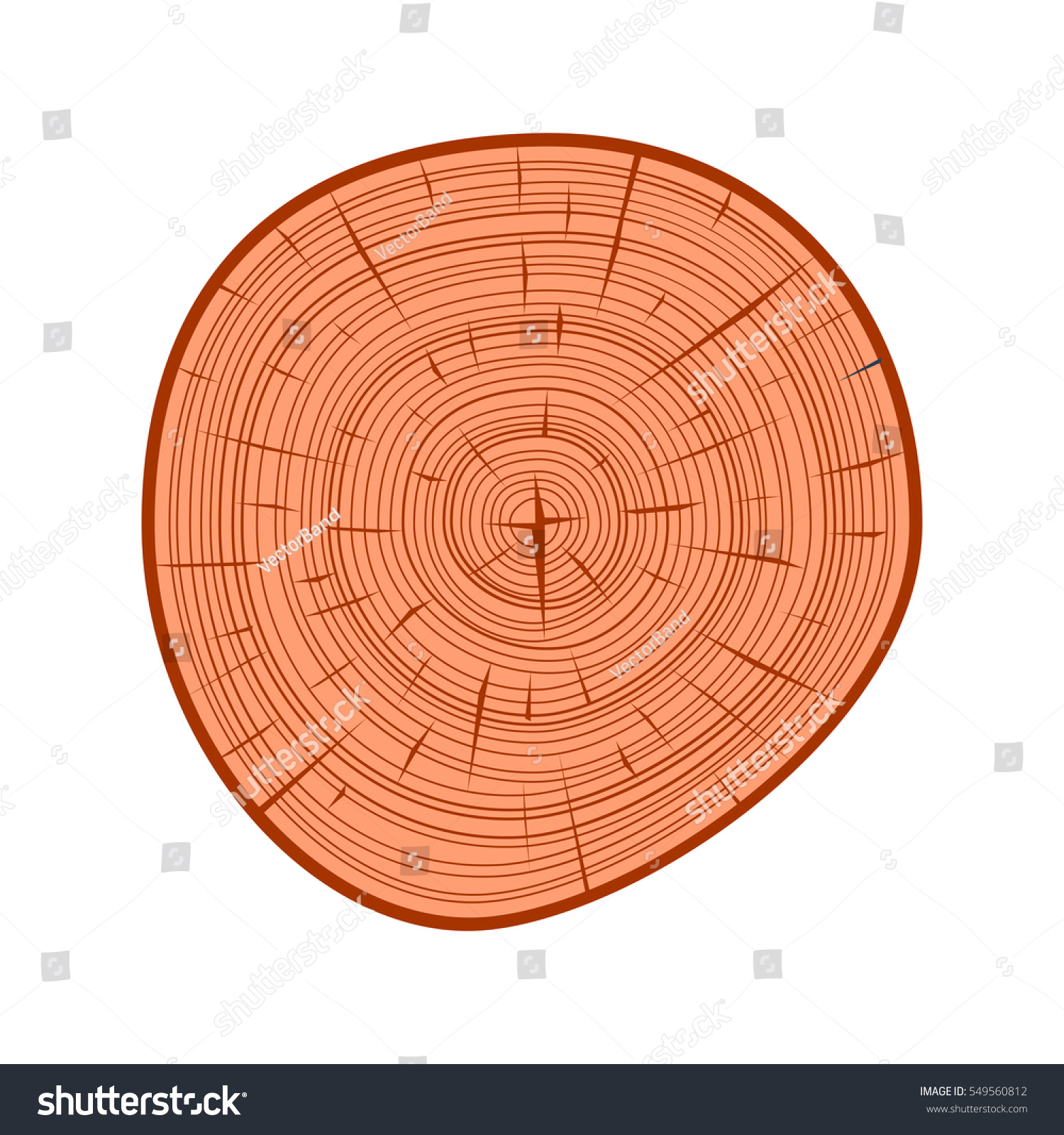 Tree Wood Slices Vector Stock Vector (Royalty Free) 549560812