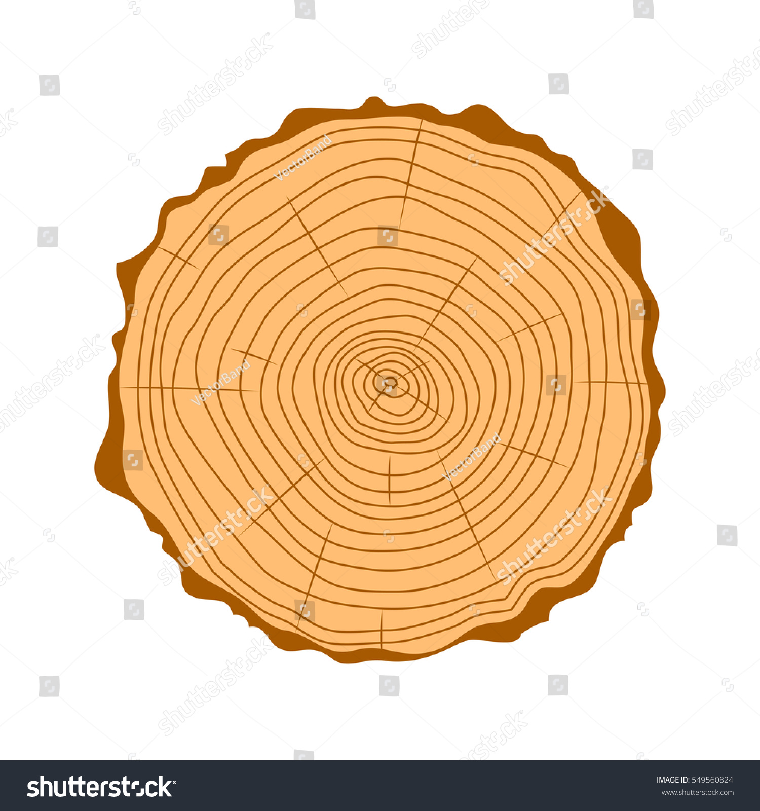 Tree Wood Slices Vector Stock Vector (Royalty Free) 549560824 ...