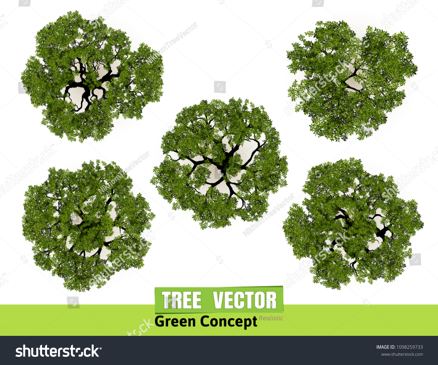 Trees Top View Landscape Vector Illustration Stock Vector (Royalty Free ...