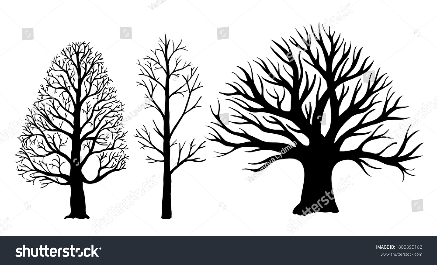 2,836 Tree without leaves drawing Images, Stock Photos & Vectors ...