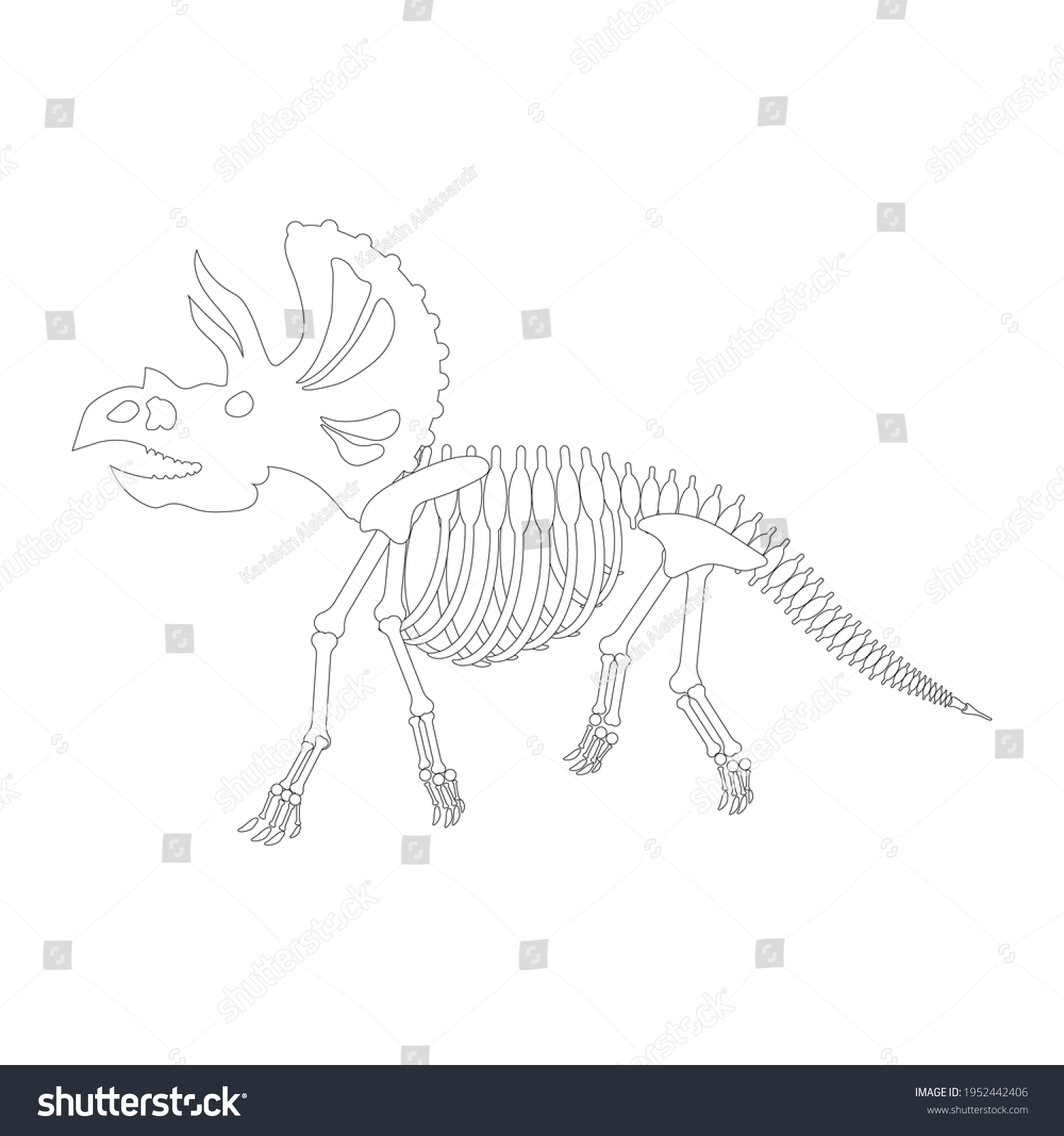 Triceratops Skeleton Drawing Vector Illustration Stock Vector (Royalty ...