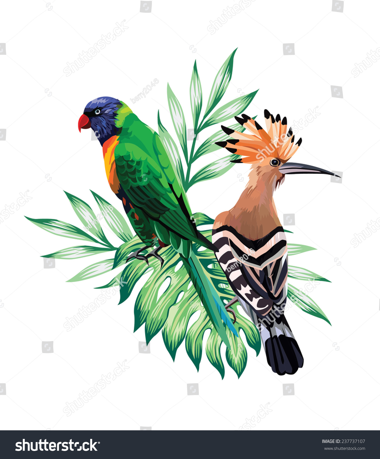 Tropical Birds Composition Stock Vector 237737107 - Shutterstock
