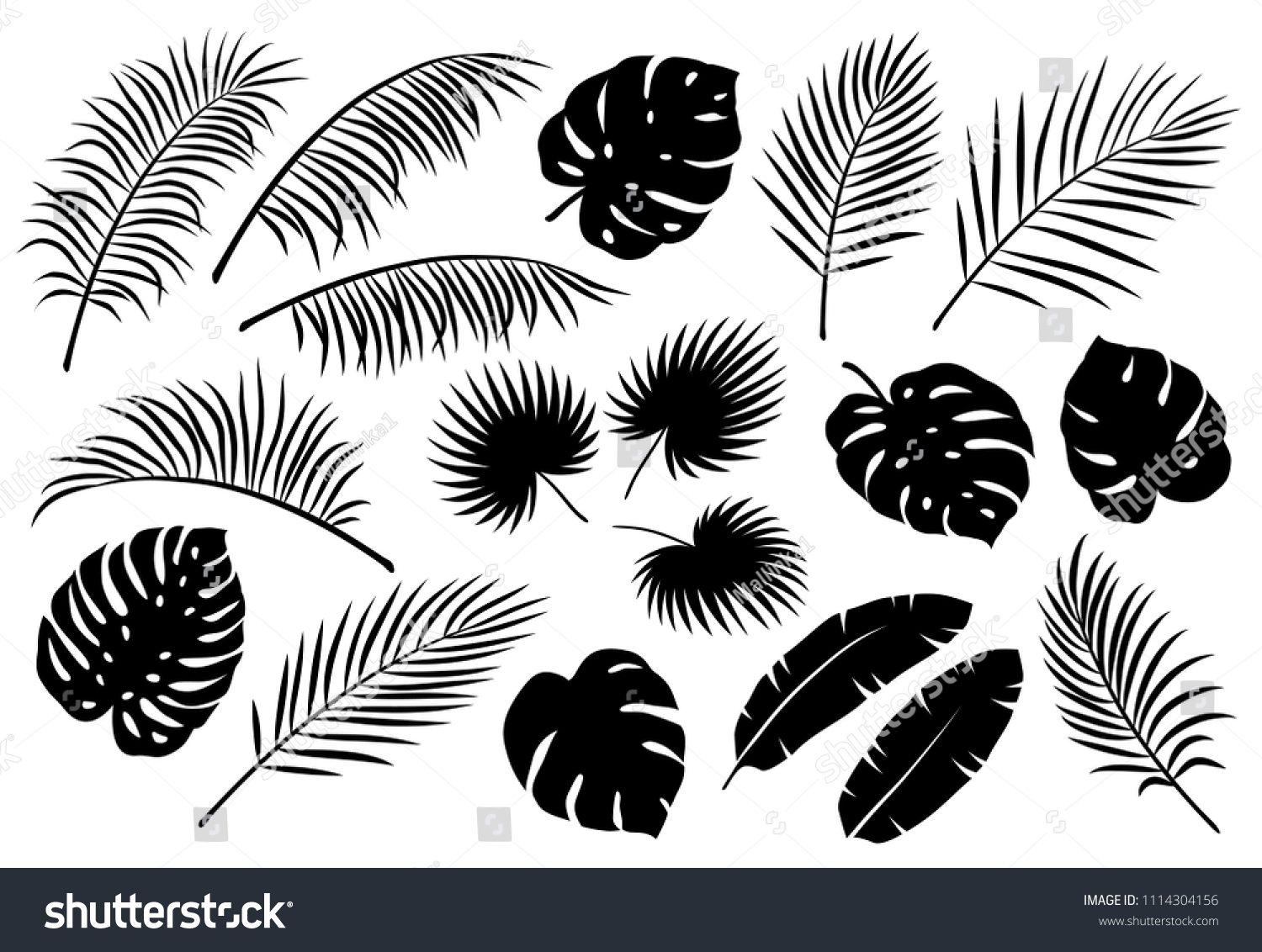 Tropical Palm Leaves Set Stock Vector (Royalty Free) 1114304156 ... Tropical Palm Leaves Set Stock Vector (Royalty Free) 1114304156 ...