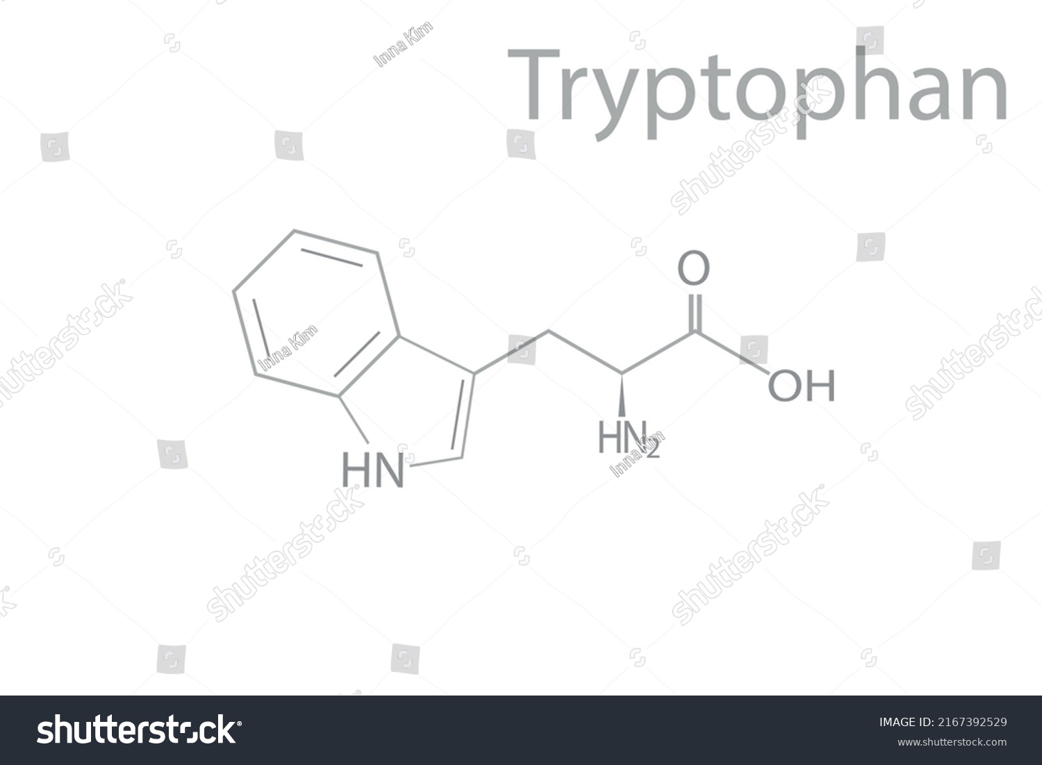 Tryptophan Molecular Skeletal 3d Chemical Formula Stock Vector (Royalty ... Tryptophan Molecular Skeletal 3d Chemical Formula Stock Vector (Royalty ...