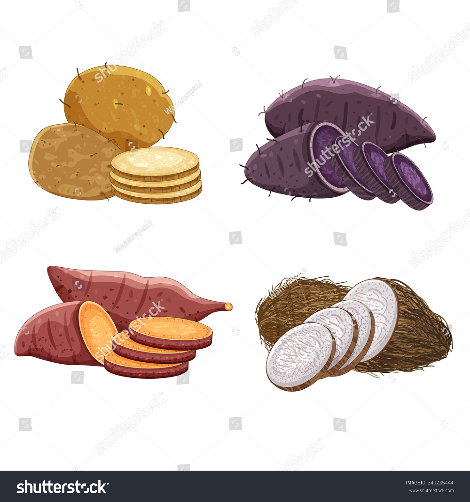 Tuber Vegetables Isolated On White Background Stock Vector (Royalty ...