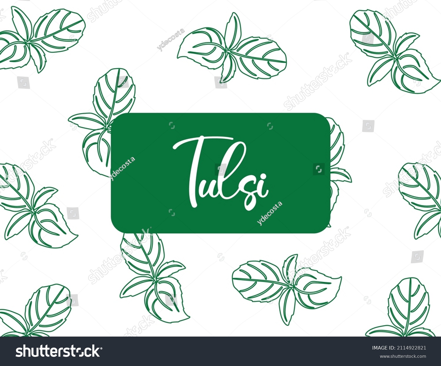 Tulsi Herbs Pattern Vector Illustration Stock Vector (Royalty Free ...
