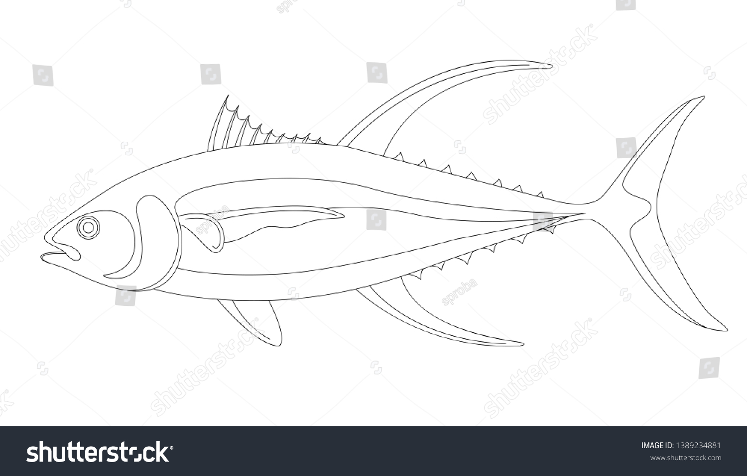 Tuna Fish Vector Illustration Lining Draw Stock Vector (Royalty Free ...