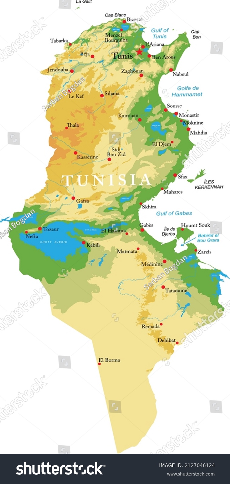 Tunisia Highly Detailed Physical Map Stock Vector (Royalty Free ...