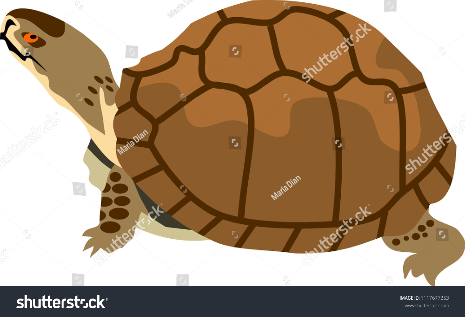Turtle Animal Vector Illustration Stock Vector (Royalty Free) 1117677353