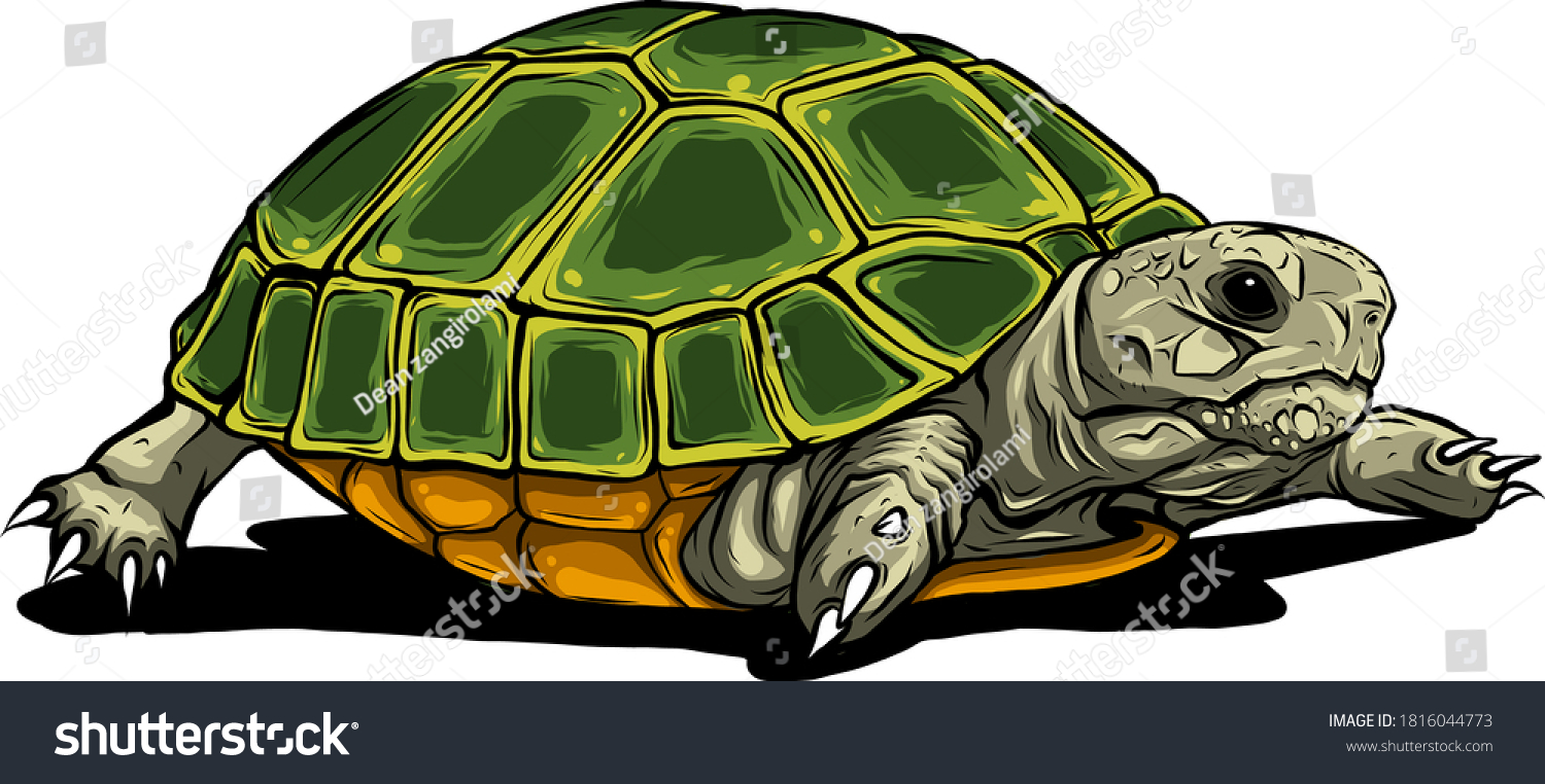 21,267 Amphibian drawing Images, Stock Photos & Vectors | Shutterstock