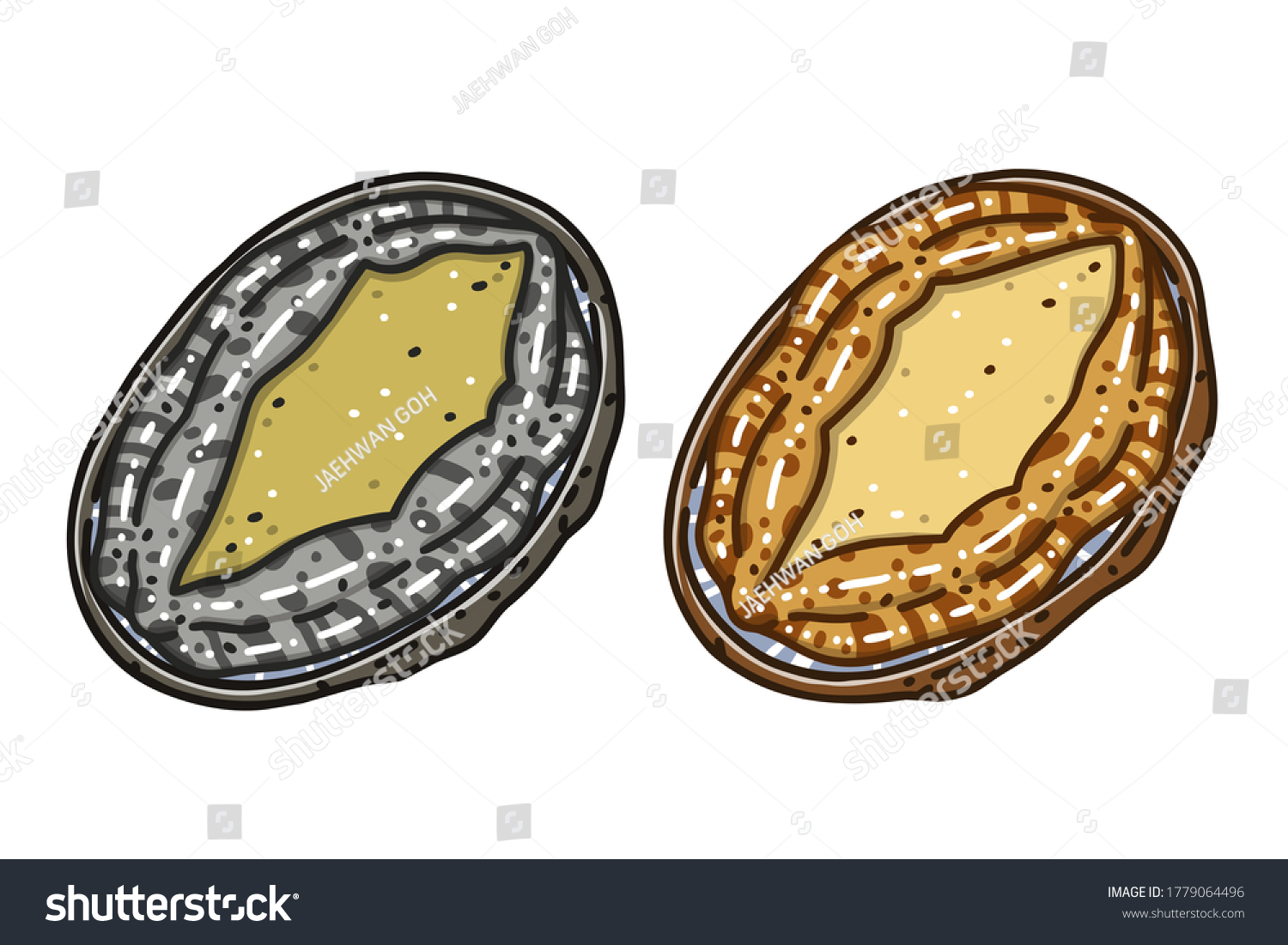 Ear-shells Images, Stock Photos & Vectors | Shutterstock