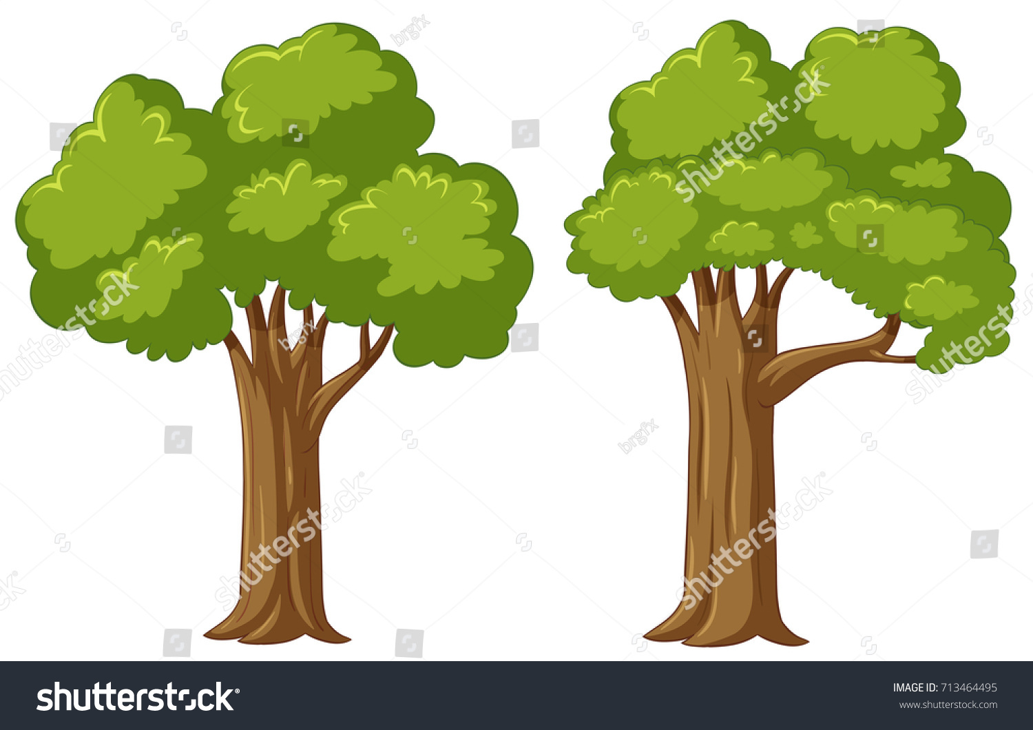 Two Big Trees On White Background Stock Vector (Royalty Free) 713464495 ...