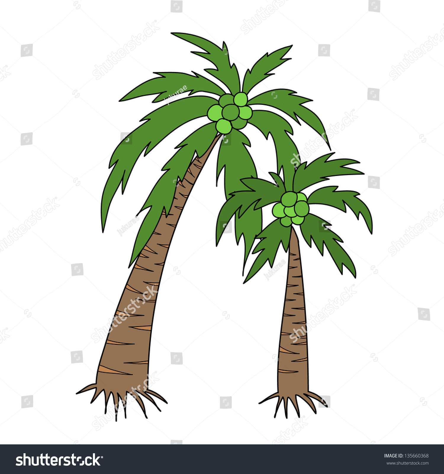 Two Coconut Tree Bunch Coconuts Stock Vector (Royalty Free) 135660368 ...