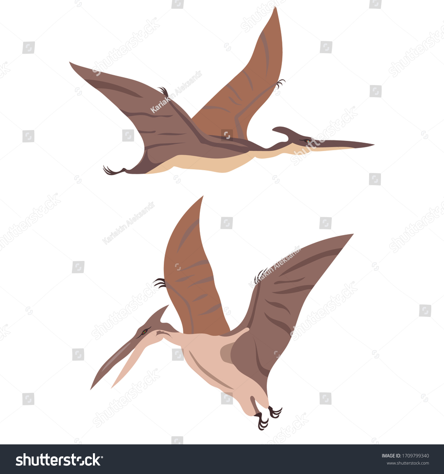 6,056 Pterodactyl vector Images, Stock Photos & Vectors | Shutterstock
