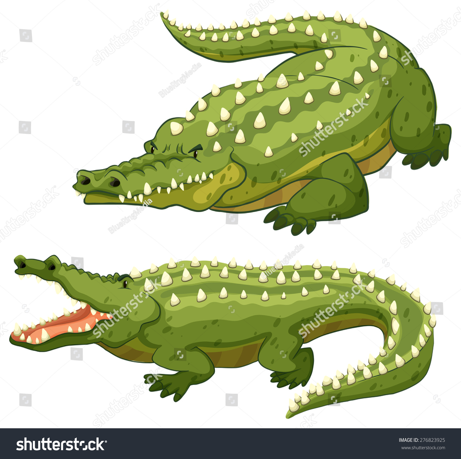 Two Green Crocodiles On White Background Stock Vector (Royalty Free ...