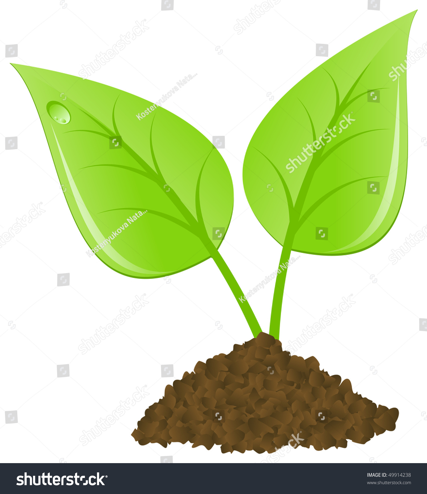 Two Leaf Sprout Vector Illustration Isolated 스톡 벡터(로열티 프리) 49914238 ...