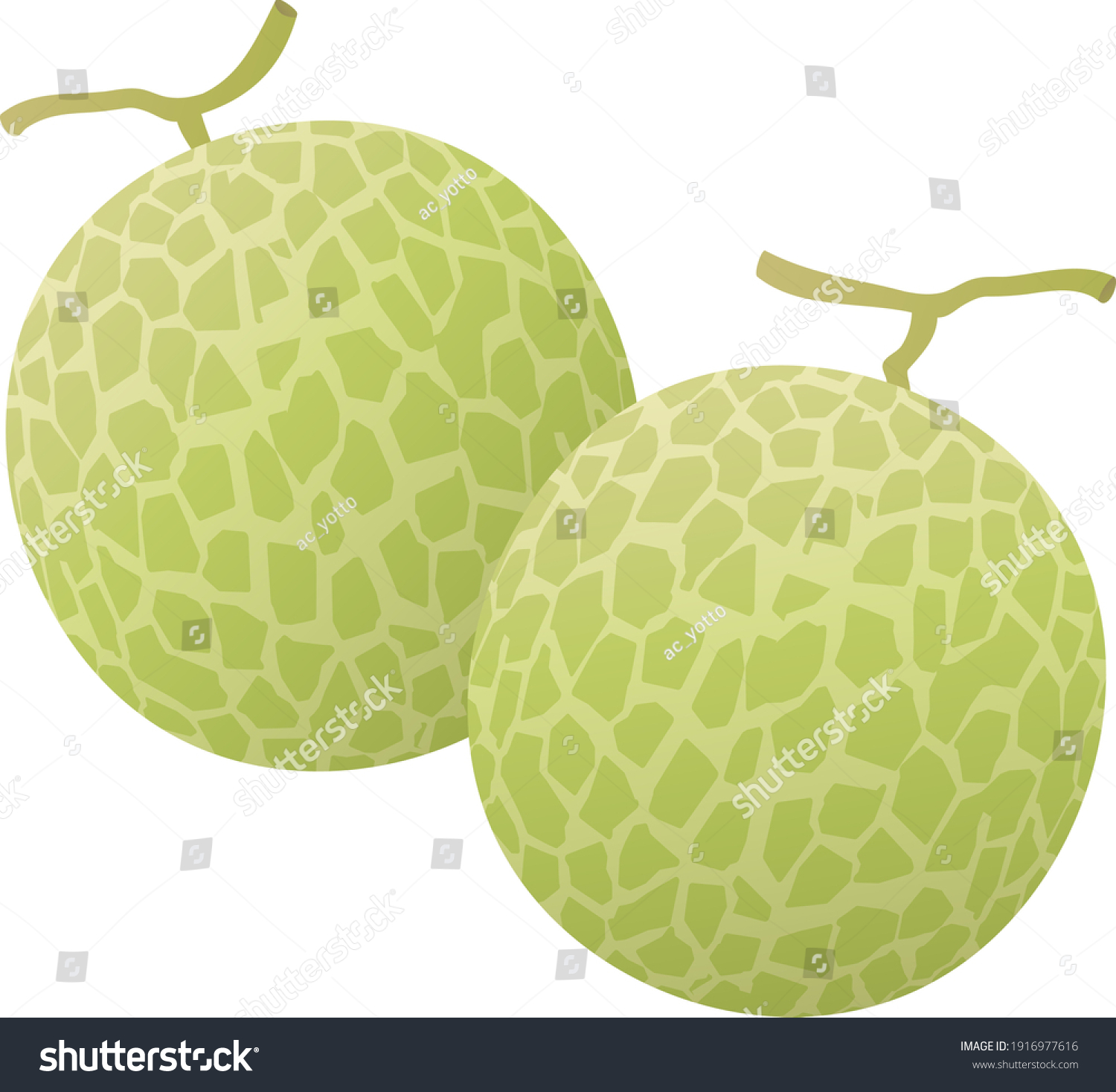 Two Melons Isolated Vector Illustration Stock Vector (Royalty Free ...