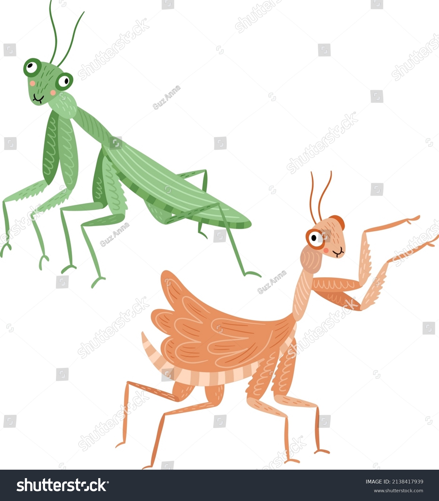 Two Praying Mantis Insects Vector Illustration Stock Vector (Royalty ...