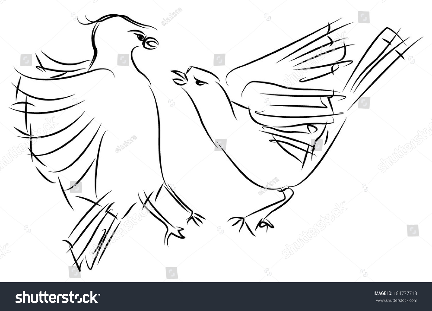 Two Sparrows Fighting Sketch Vector Stock Vector (Royalty Free) 184777718