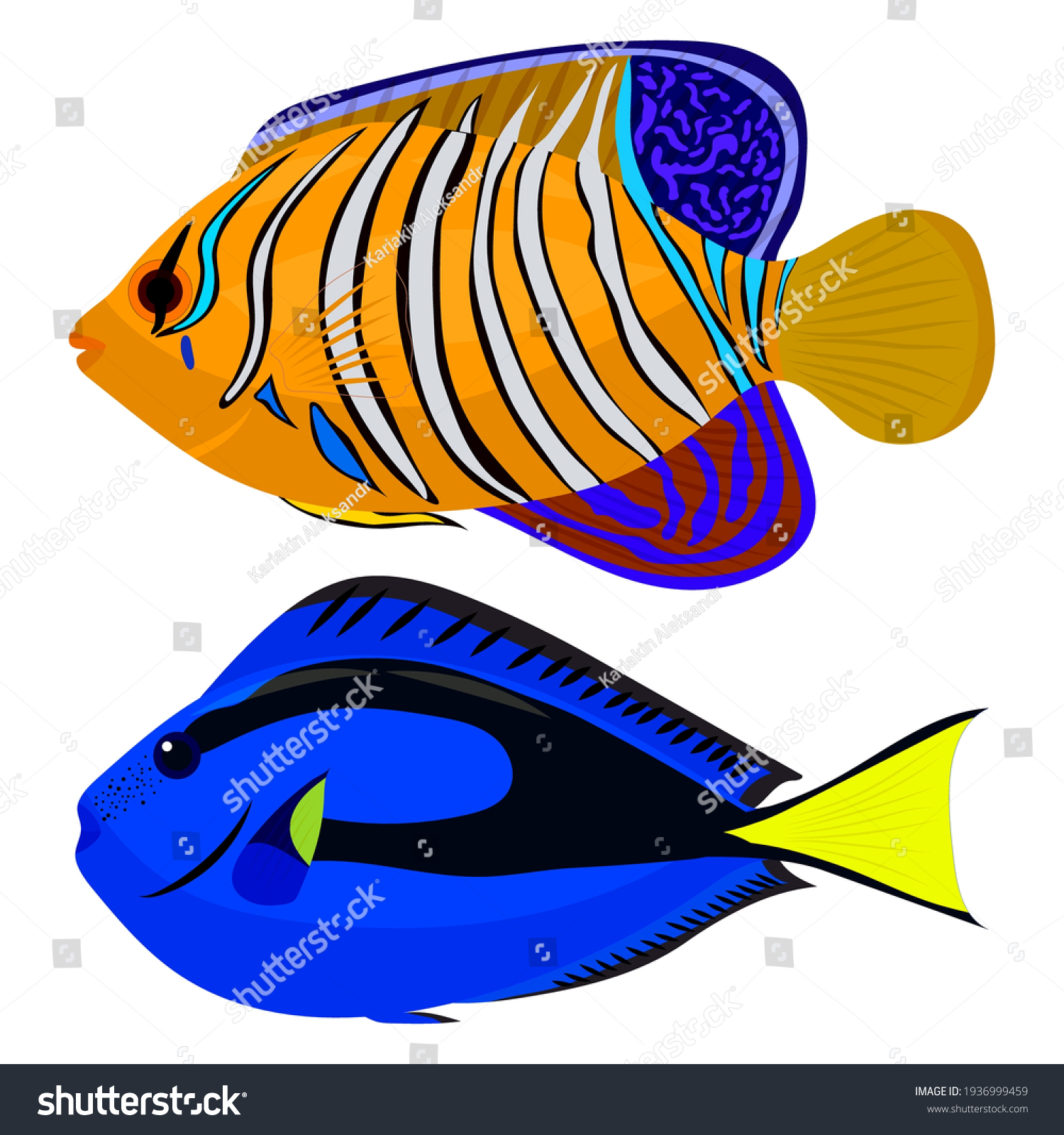 Two Tropical Fish Vector Illustration Stock Vector (Royalty Free ...