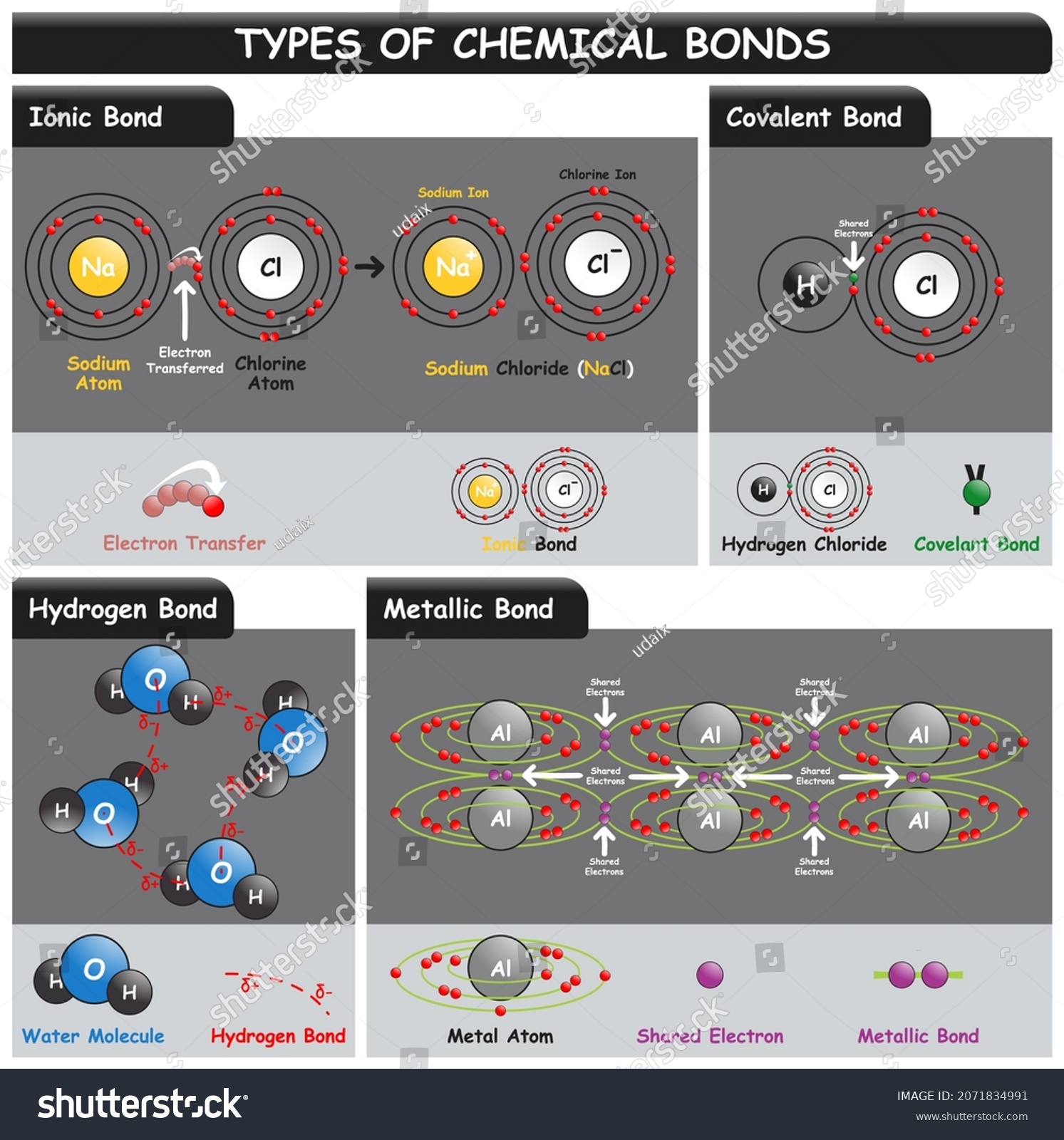 Types Chemical Bonds Infographic Diagram Including: เวกเตอร์สต็อก (ปลอด ... Types Chemical Bonds Infographic Diagram Including: เวกเตอร์สต็อก (ปลอด ...